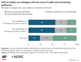 More people are enjoying movies from the comfort of home - AP-NORC